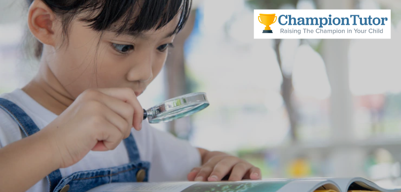 Ways To Identify Children's Talents | Champion Tutor
