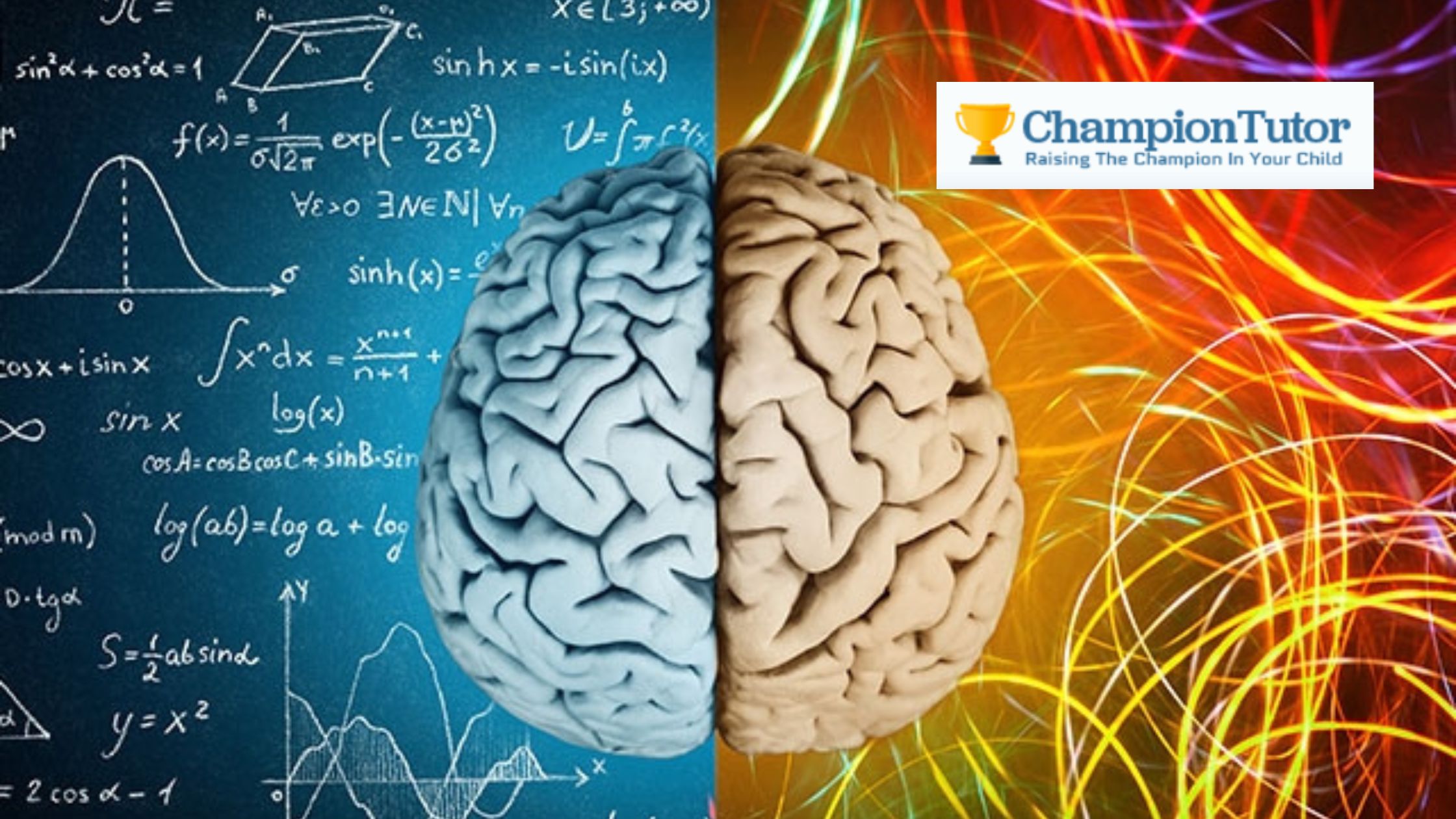 3 Reasons Why Neuroscience is Challenging and Interesting!